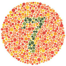 Ishihara Plate 15 from 38